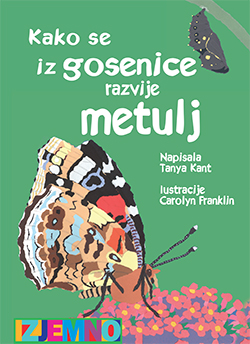 KAKO SE IZ GOSENICE RAZVIJE METULJ